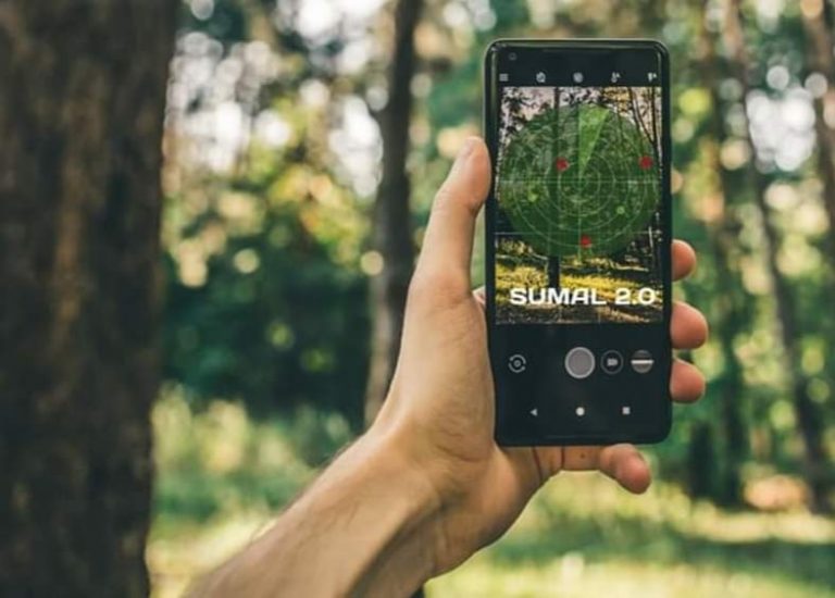 Ce trebuie să facă firmele din exploatarea lemnului pentru a se ...