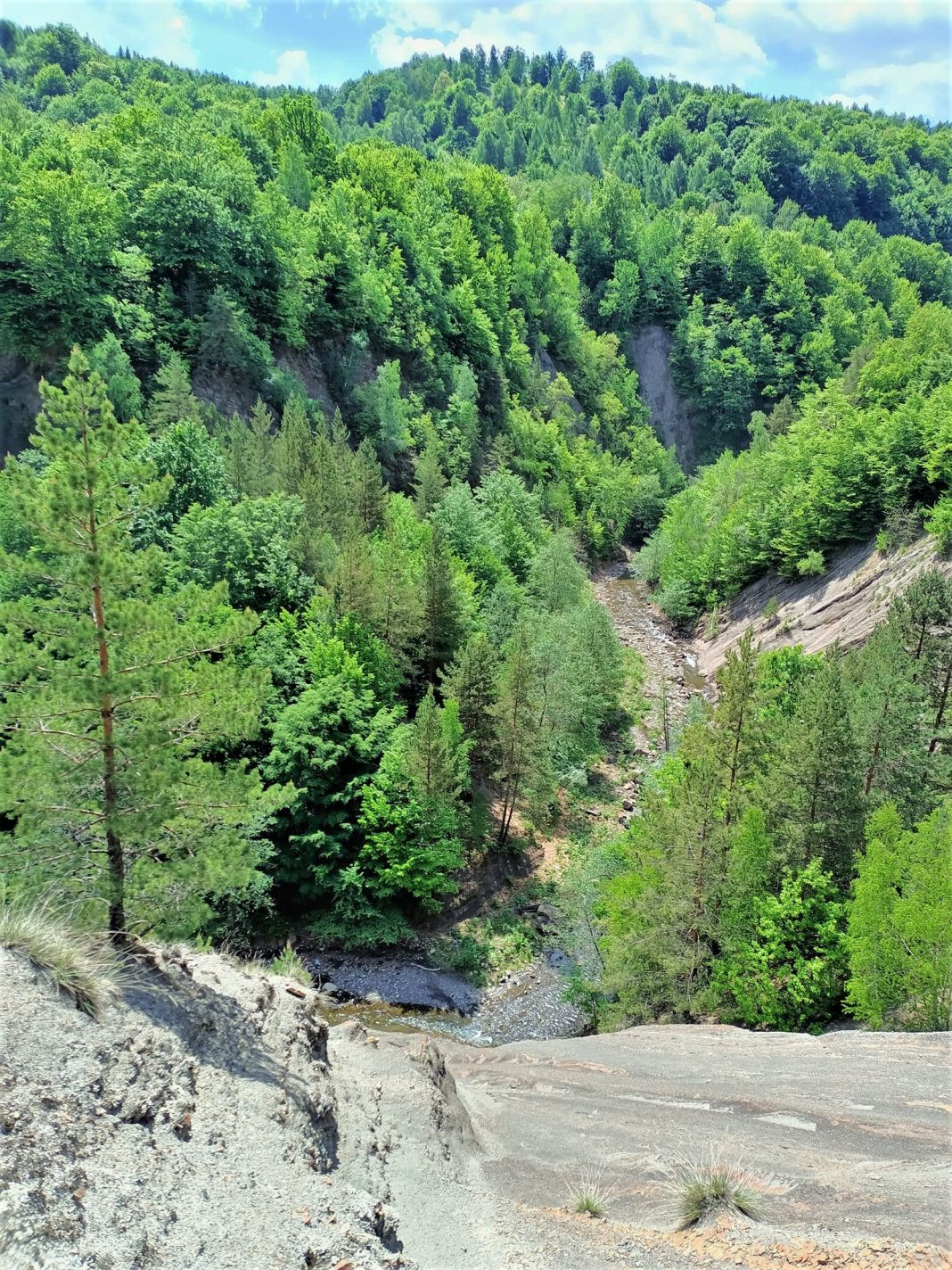 FOTO Rezervația Naturală Strâmtura Coza, un loc de poveste - Vrancea24